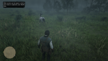 Lasso - Red Dead Redemption 2 Mods