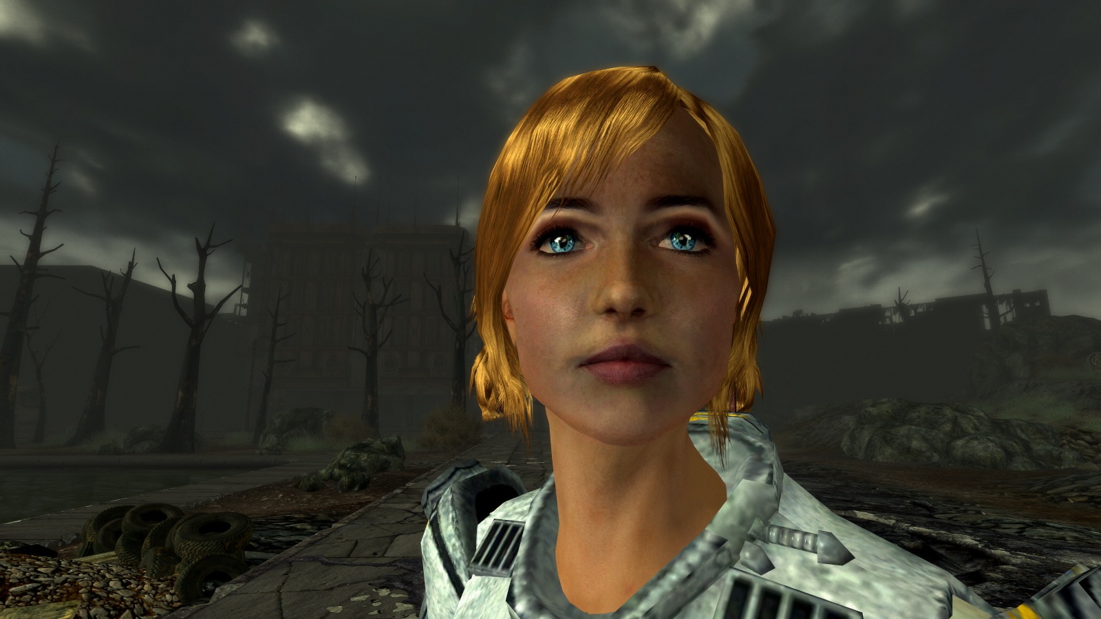 Fallout 3 Redesigned - Formerly Known as Project Beauty - Fallout 3 Mods