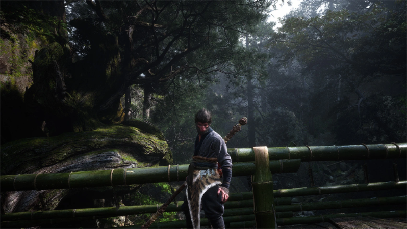 Fix Tint and Exposure - Black Myth: Wukong Mods